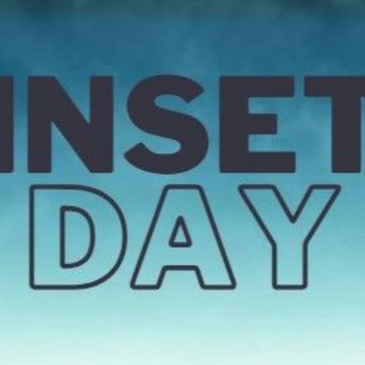 Llangatwg Community School - Inset Days 2026